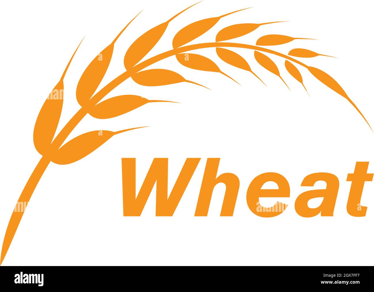 wheat Logo Template vector icon design Stock Vector Image & Art - Alamy