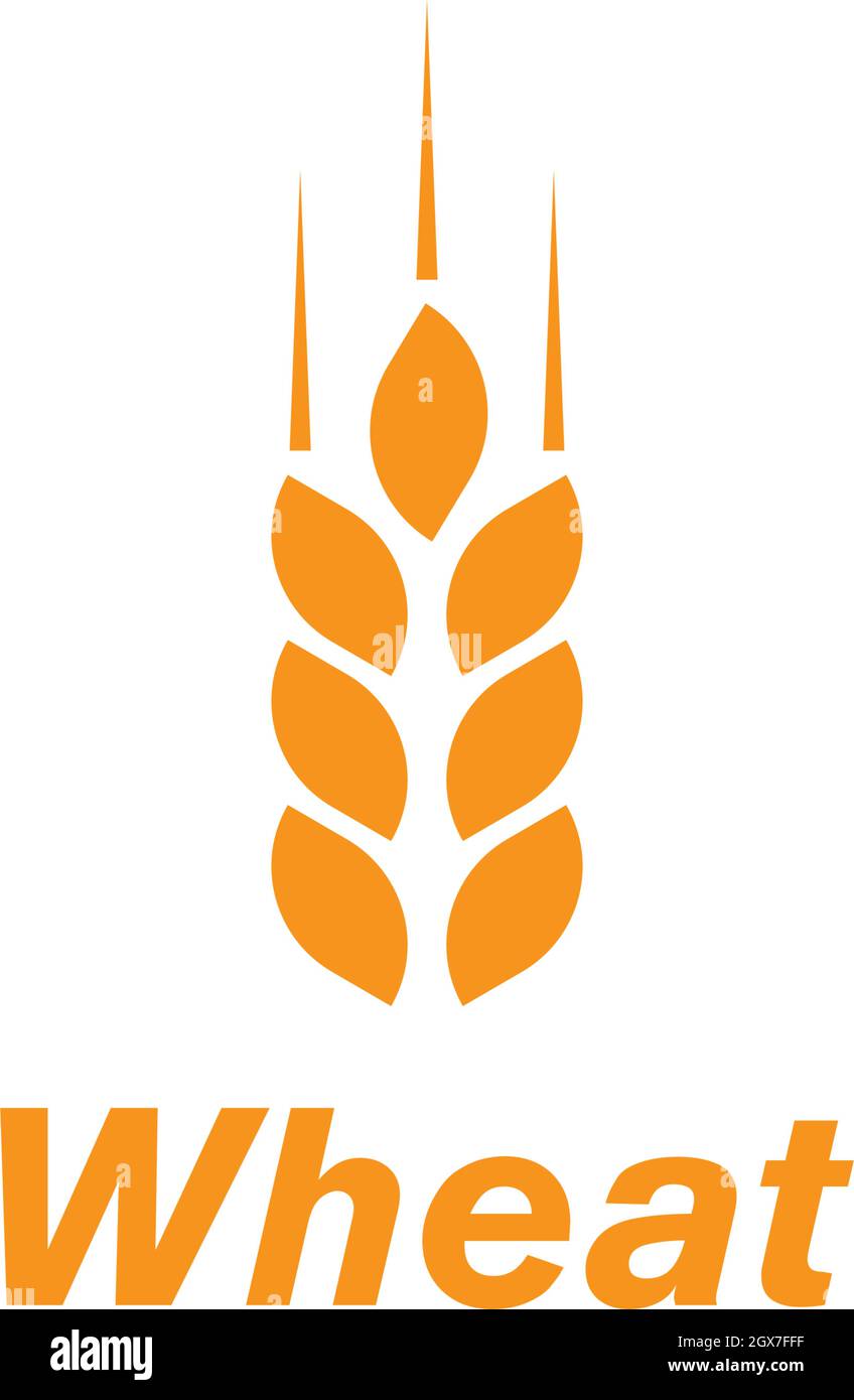 wheat Logo Template vector icon design Stock Vector Image & Art - Alamy