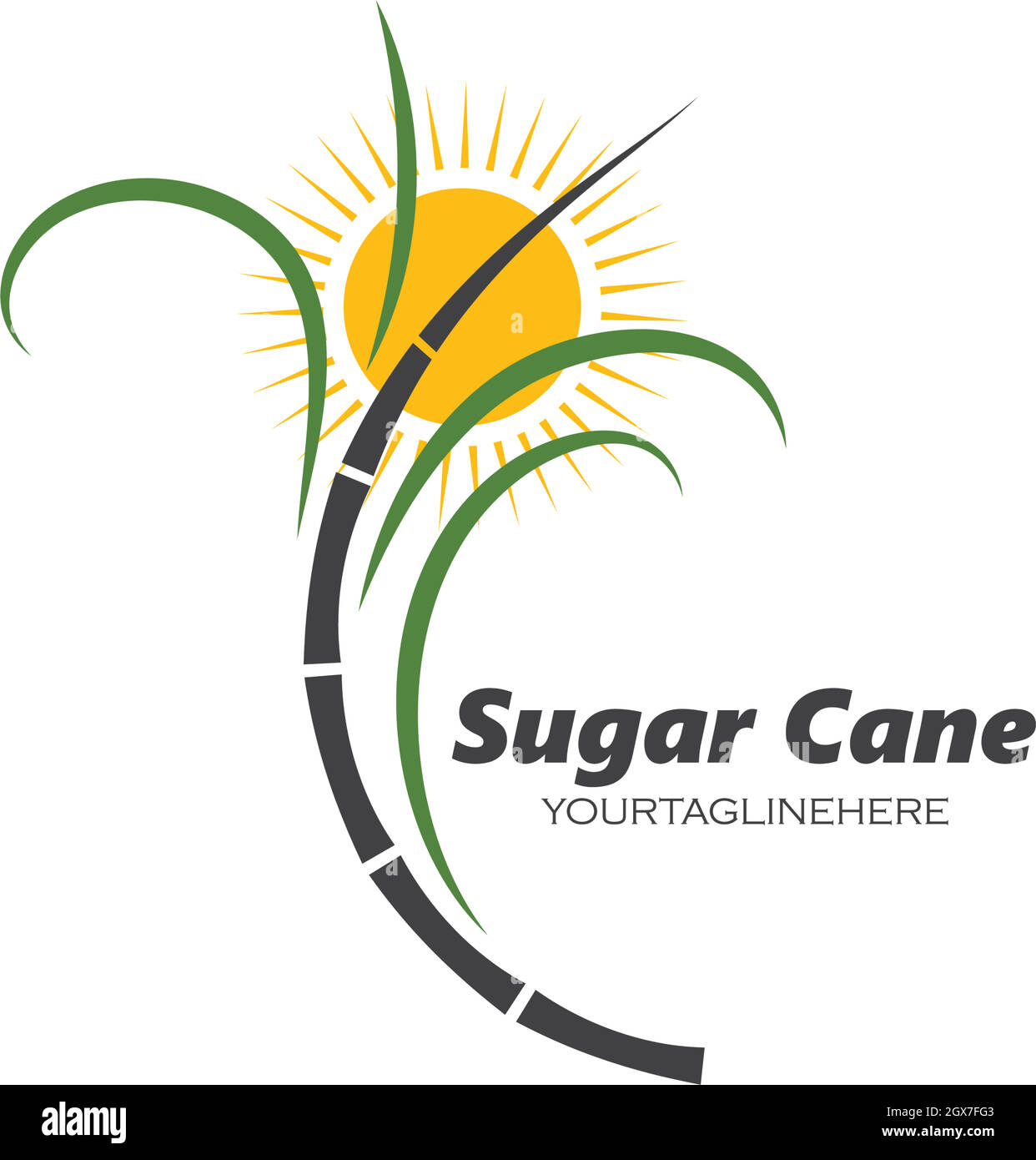 Sugar cane plant illustration hi-res stock photography and images - Alamy