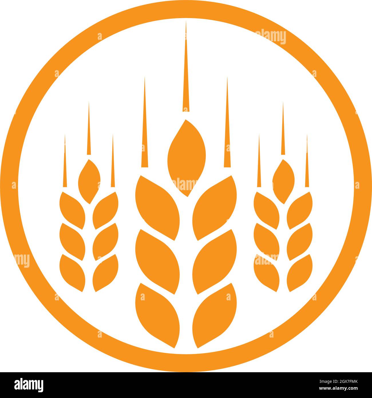 wheat Logo Template vector icon design Stock Vector Image & Art - Alamy