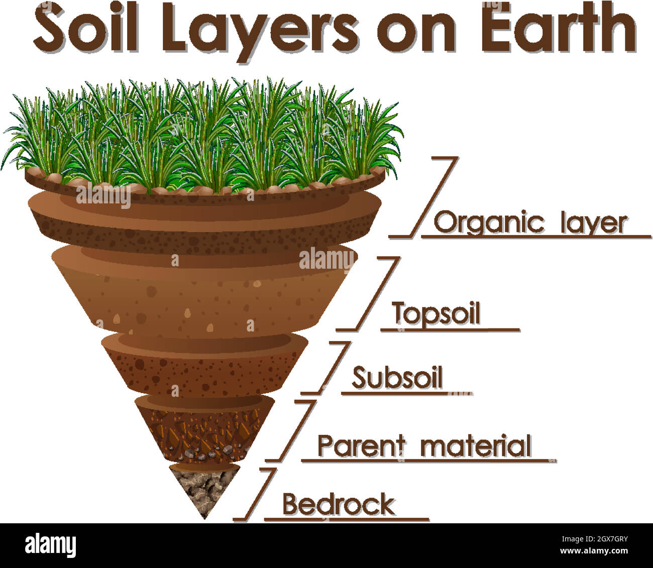 Diagram showing soil layers on earth Stock Vector Image & Art - Alamy