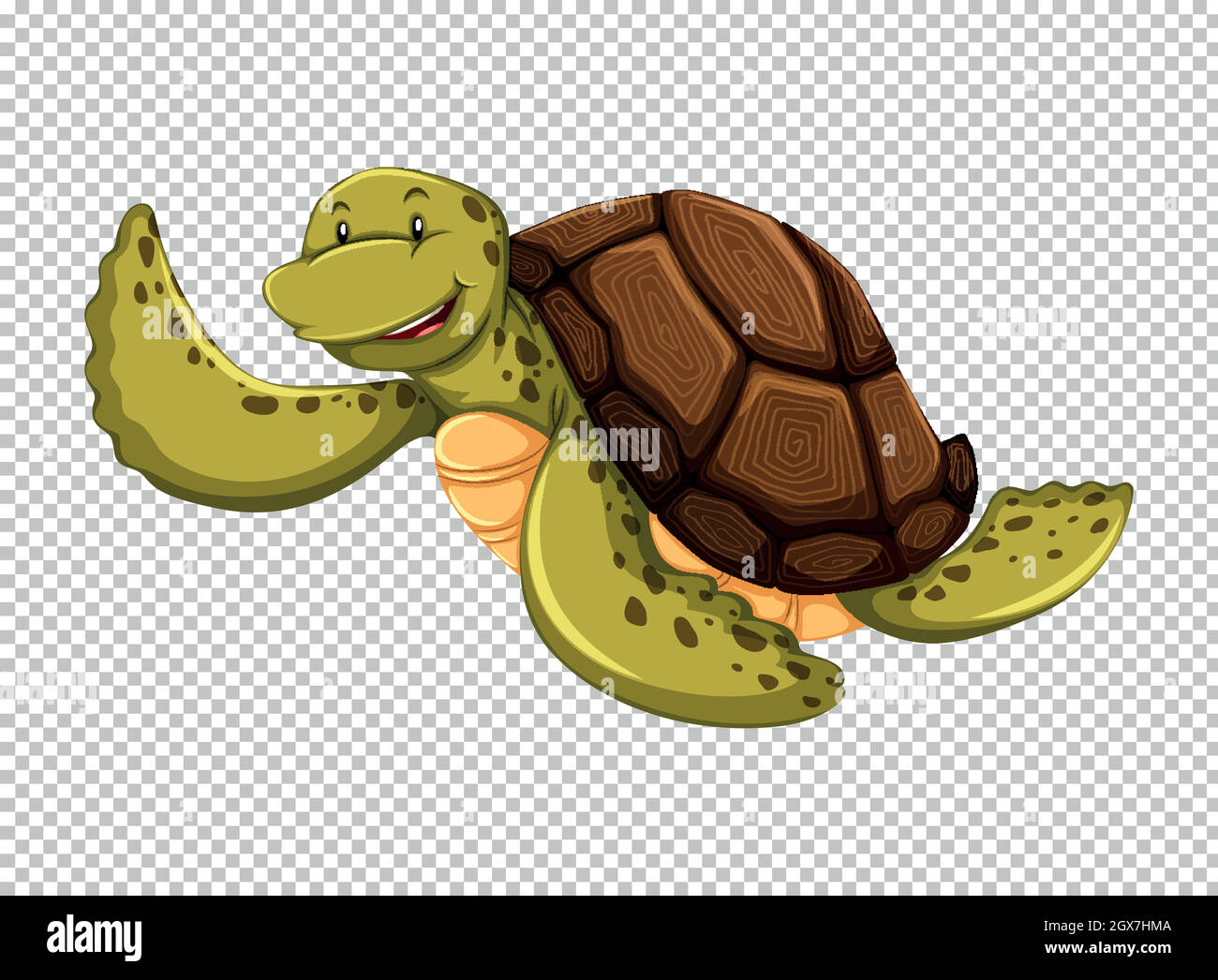 Transparent shell Stock Vector Images - Alamy