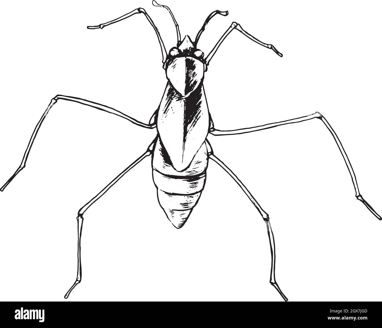 Marshes and ponds Stock Vector Images - Alamy