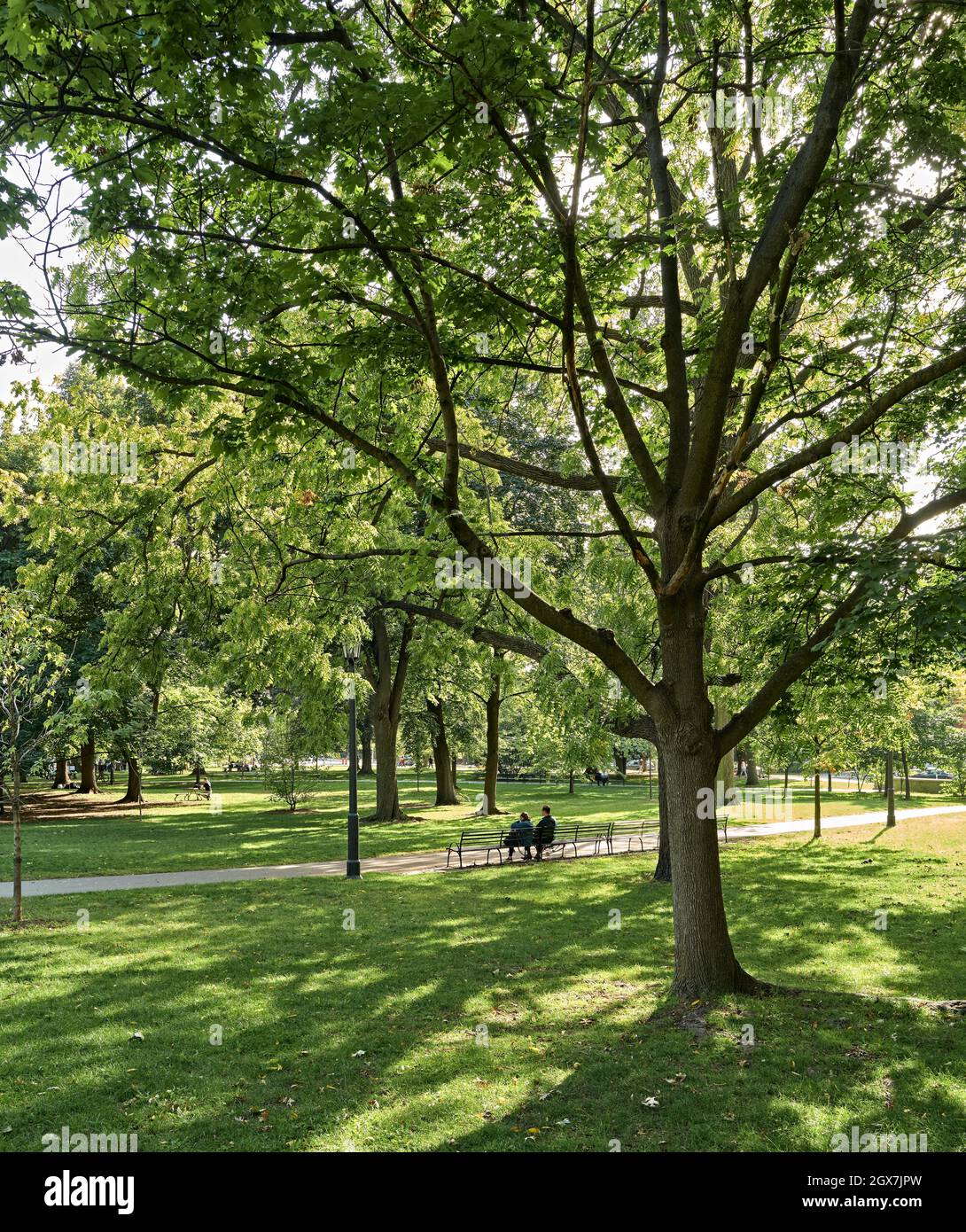 Queens Park Toronto Stock Photo - Alamy