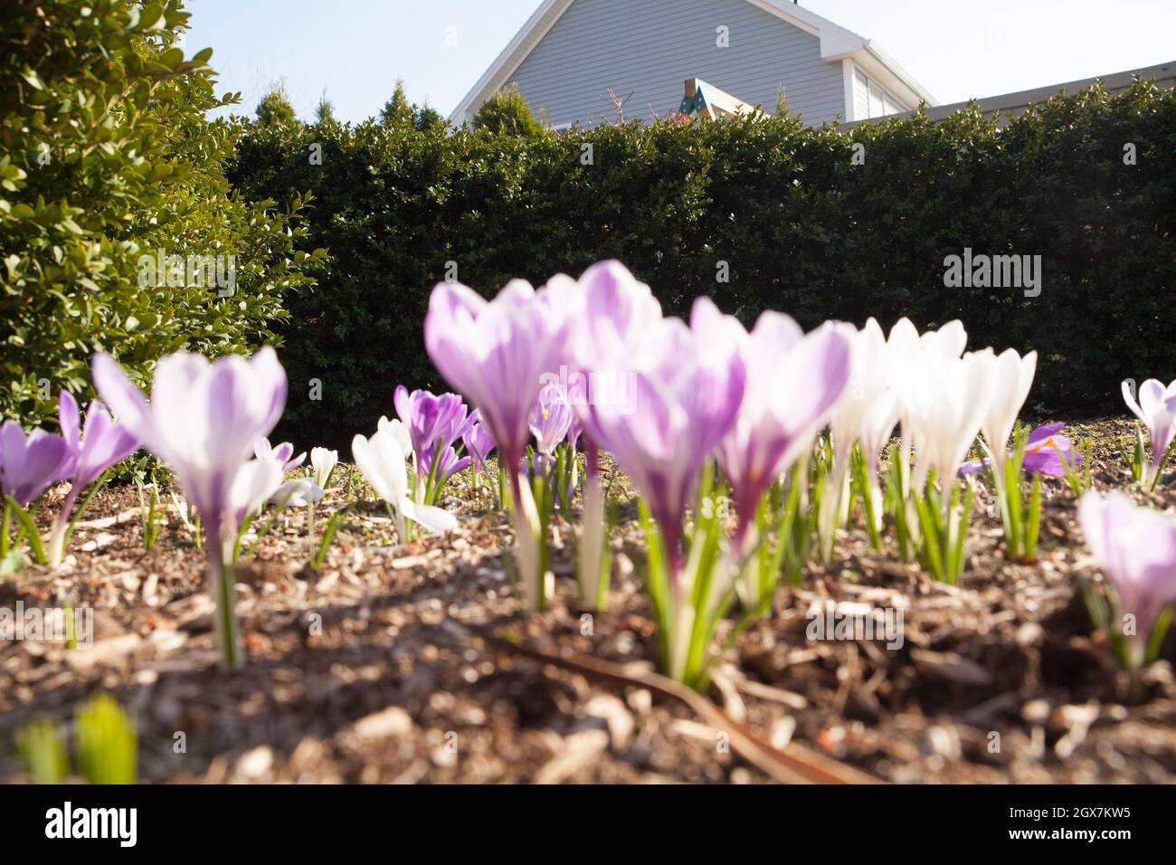 Ants eye view hi-res stock photography and images - Alamy