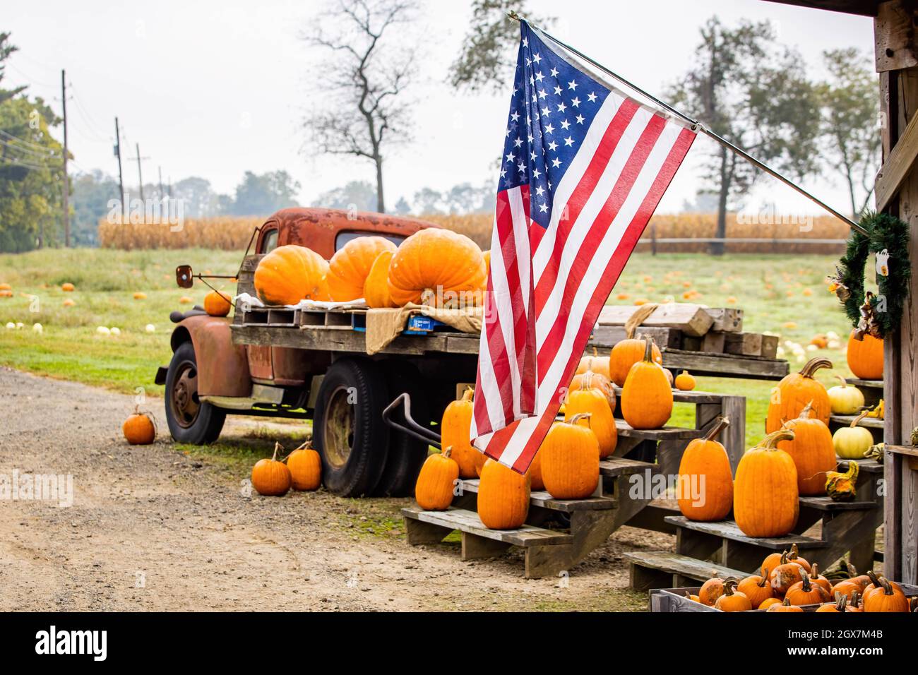 Load truck of pumpkins with USA flag farmer symbold at fall harvest ...