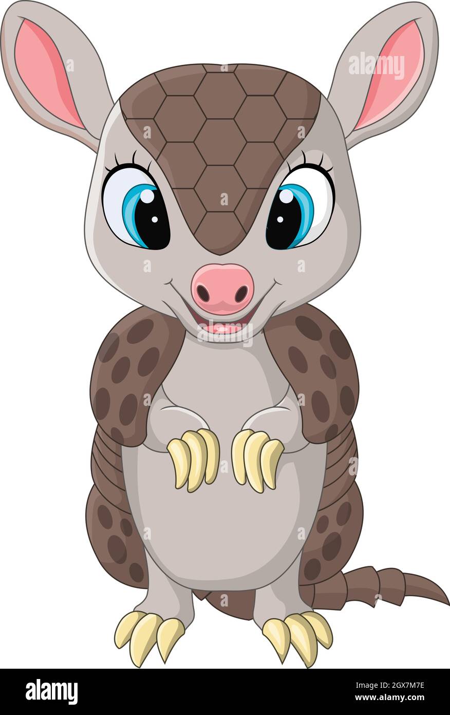 Cartoon cute baby armadillo standing Stock Vector Image & Art - Alamy