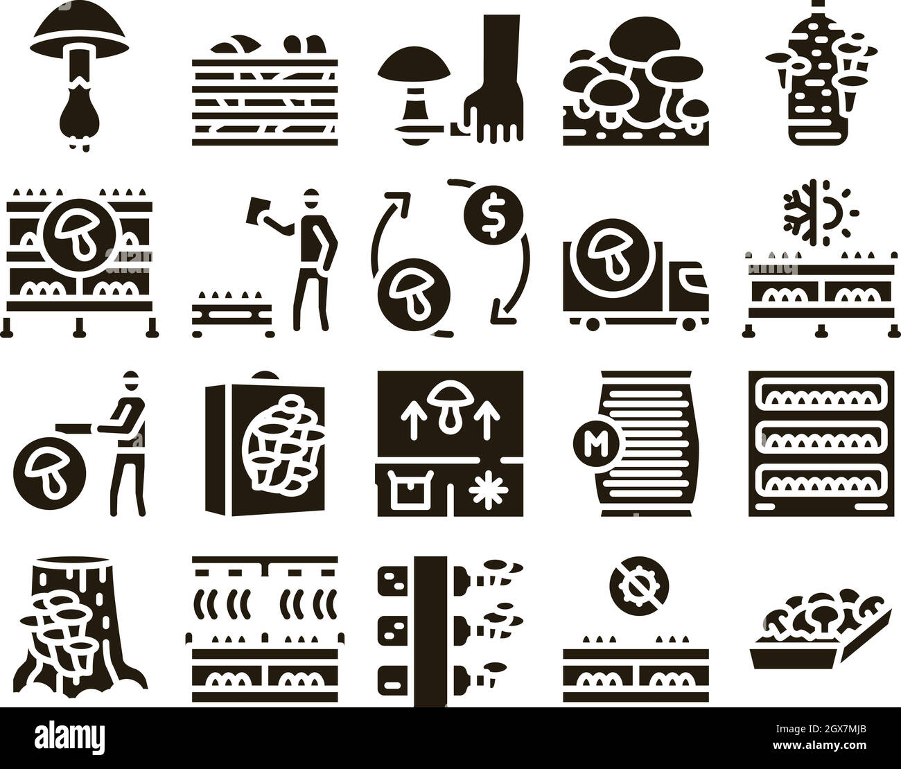Mushroom Farm Plant Glyph Set Vector Stock Vector Image & Art - Alamy