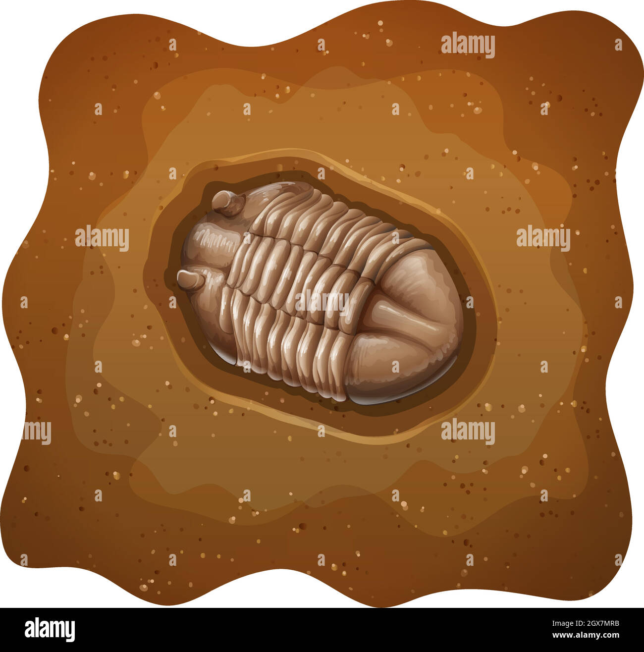 Fossil remains Cut Out Stock Images & Pictures - Alamy