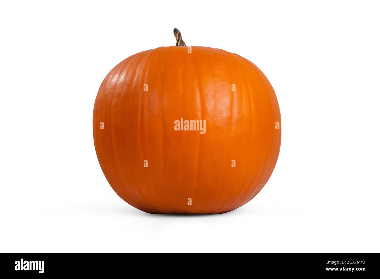 Halloween pumpkin head. Halloween decoration and background Stock Photo ...