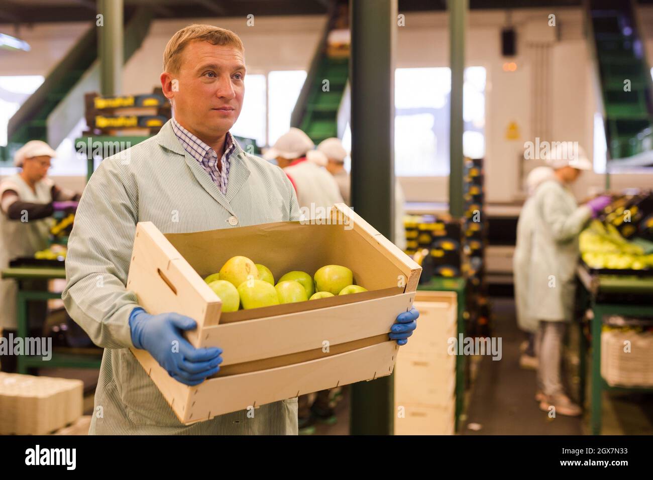 Worker packing apple boxes hi-res stock photography and images - Alamy