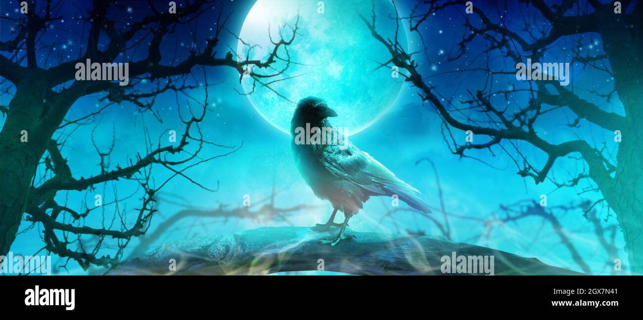 Halloween background with raven in a spooky night Stock Photo - Alamy