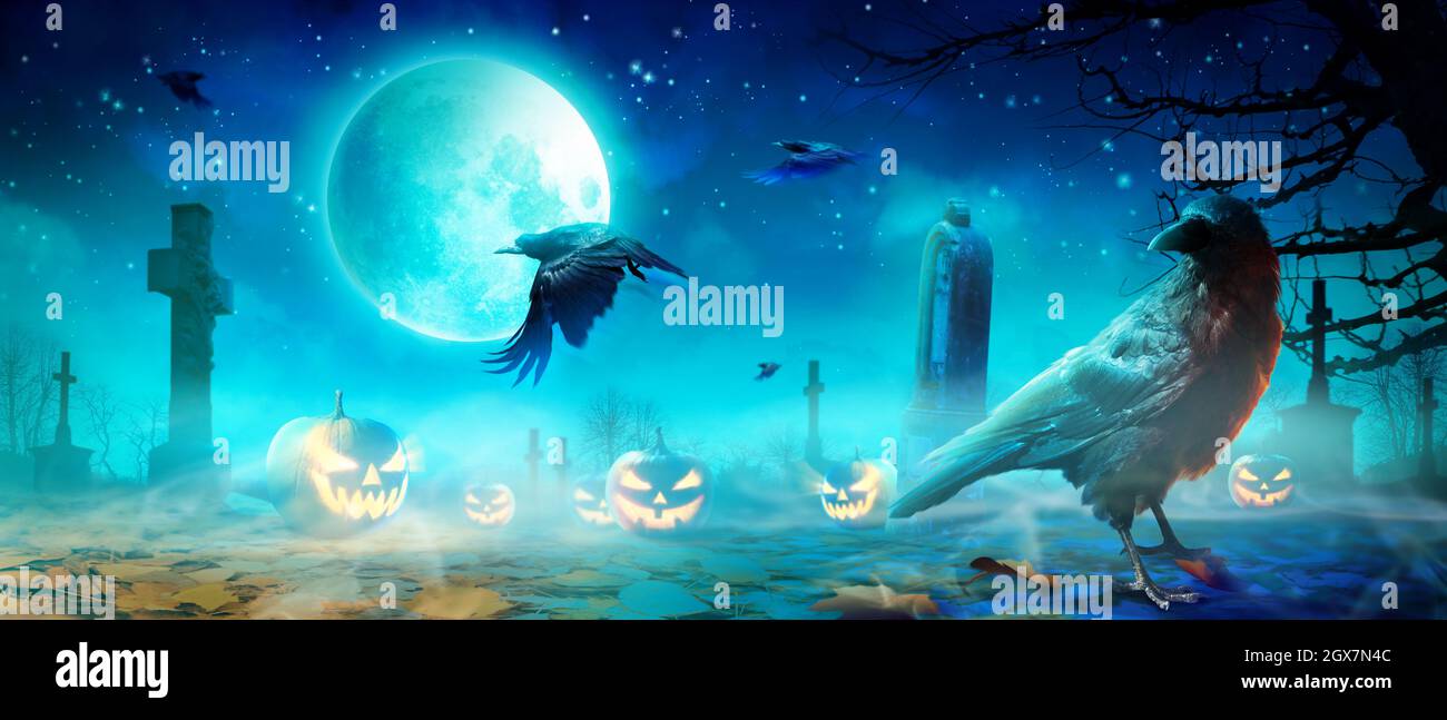 Halloween background with raven in a spooky night Stock Photo - Alamy