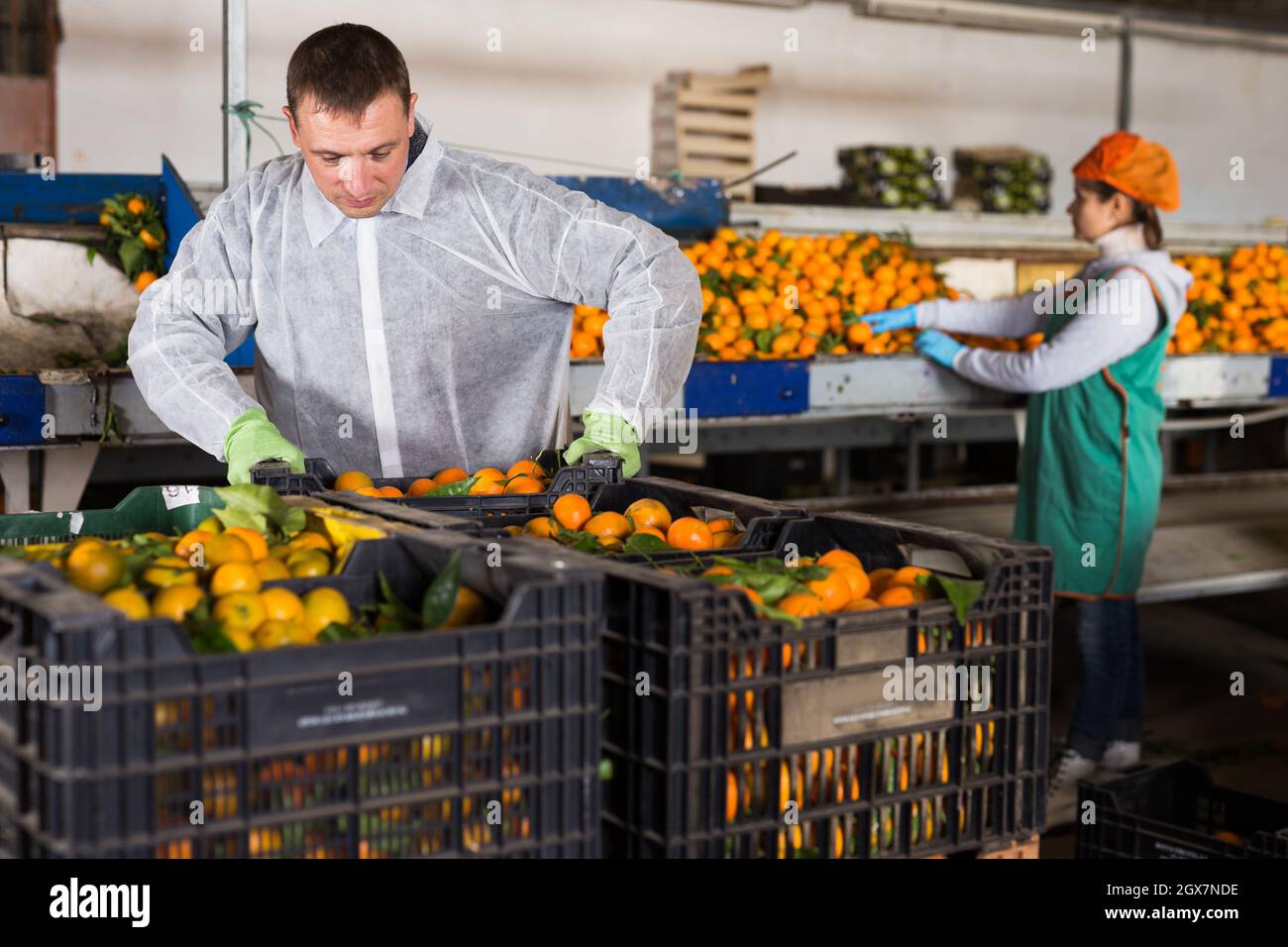 Quality handling hi-res stock photography and images - Alamy