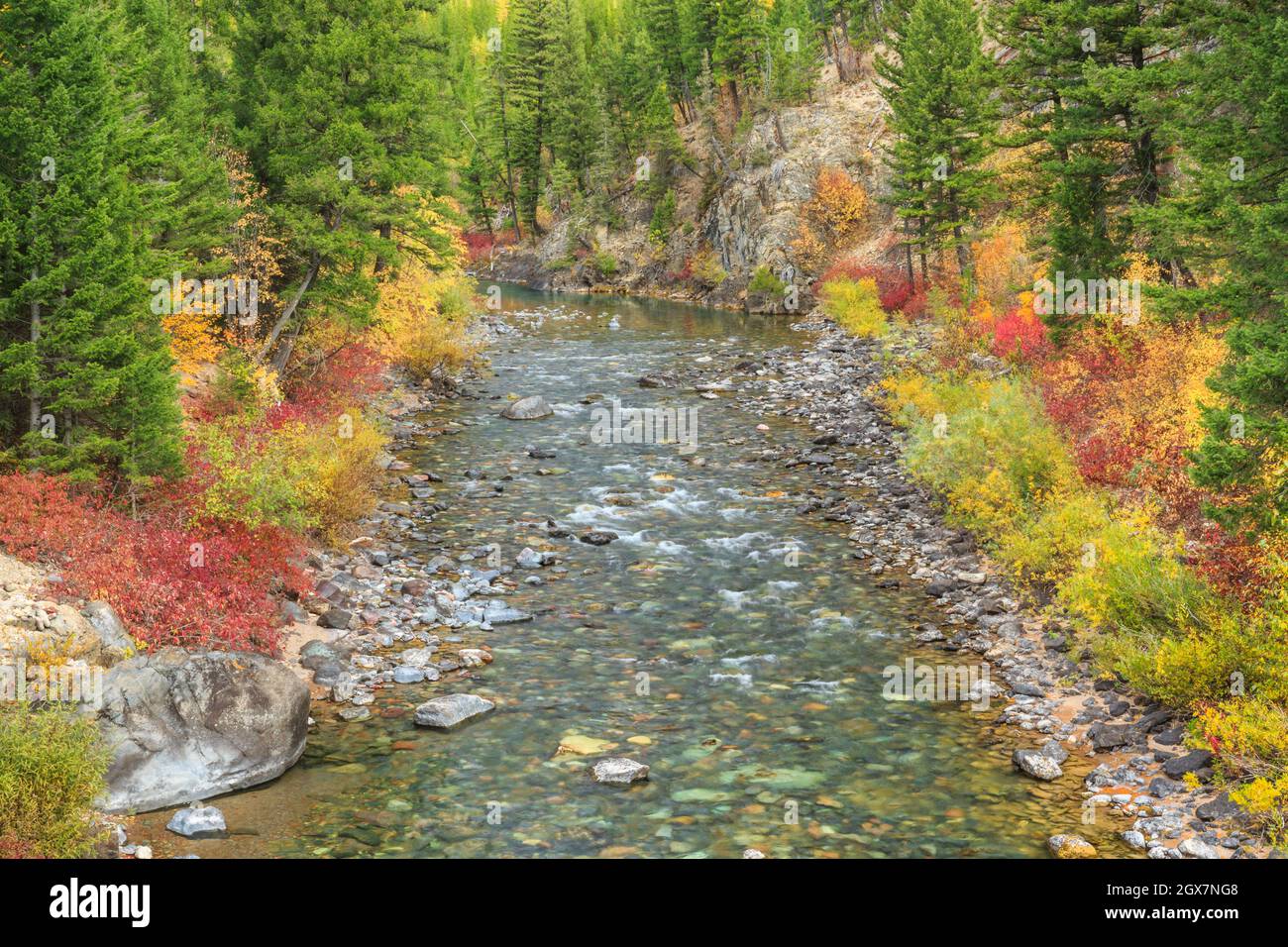 fall colors along the north fork blackfoot river near ovando, montana ...