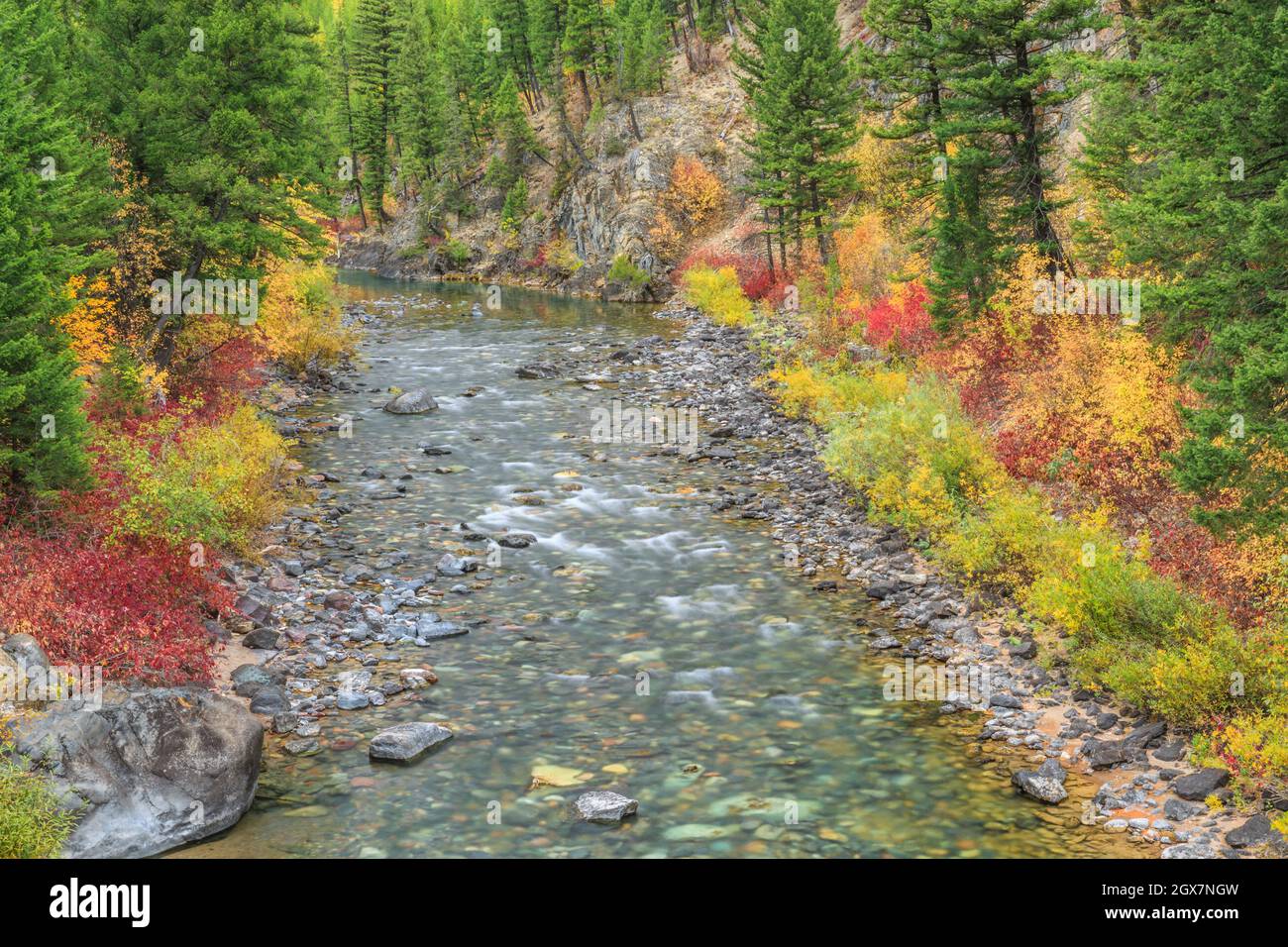 fall colors along the north fork blackfoot river near ovando, montana ...