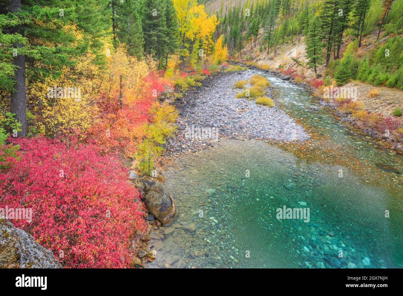 fall colors along the north fork blackfoot river near ovando, montana ...