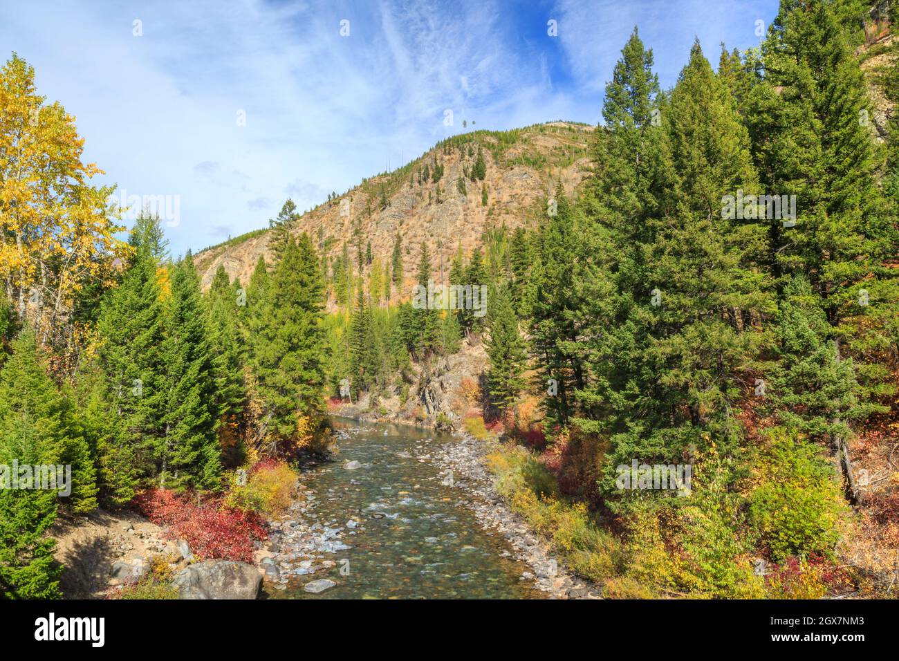 fall colors along the north fork blackfoot river near ovando, montana ...