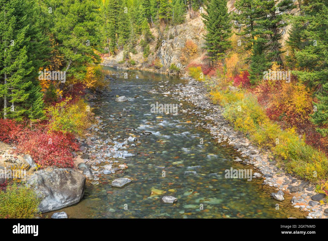 fall colors along the north fork blackfoot river near ovando, montana ...