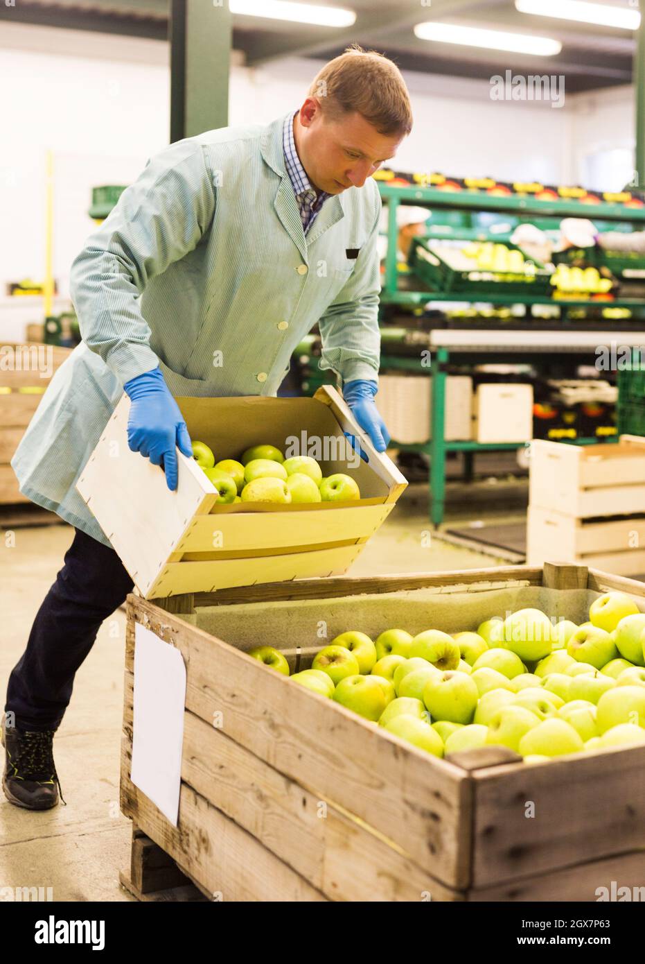 Focused man stacking boxes hi-res stock photography and images - Alamy