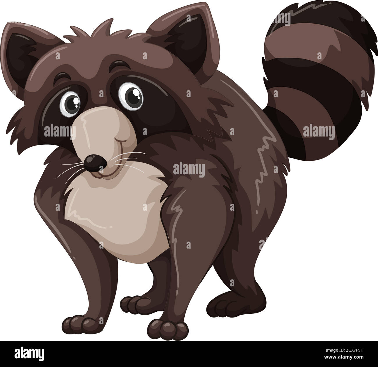Raccoon with brown fur Stock Vector Image & Art - Alamy