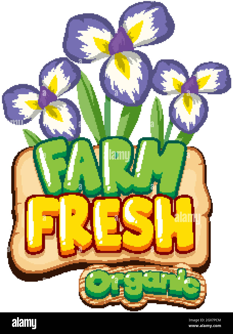Font design for word fresh farm with purple iris flowers Stock Vector ...