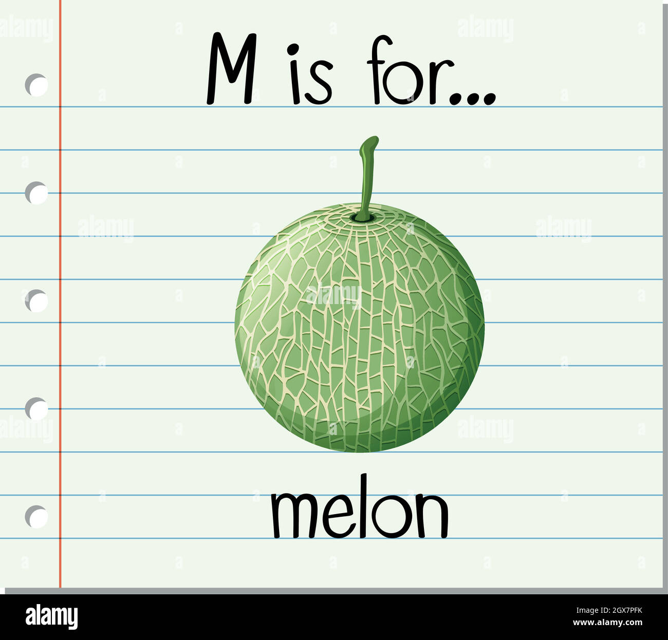 Flashcard letter M is for melon Stock Vector Image & Art - Alamy