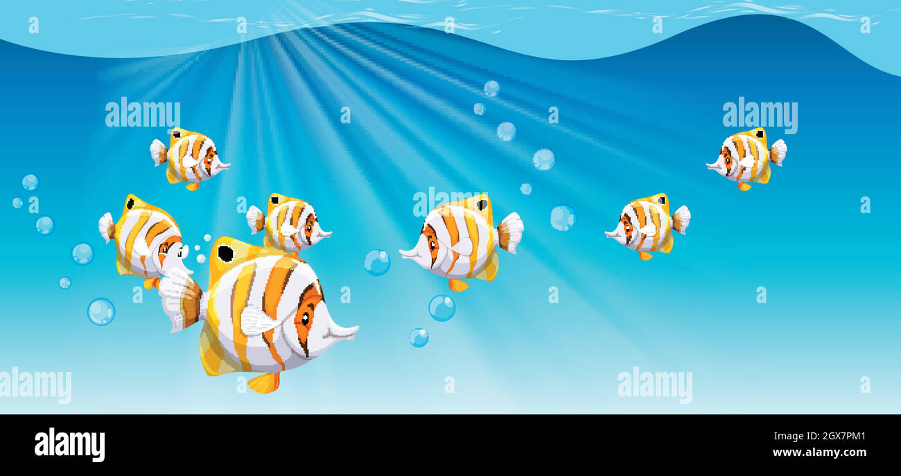 Fish Swimming In Ocean