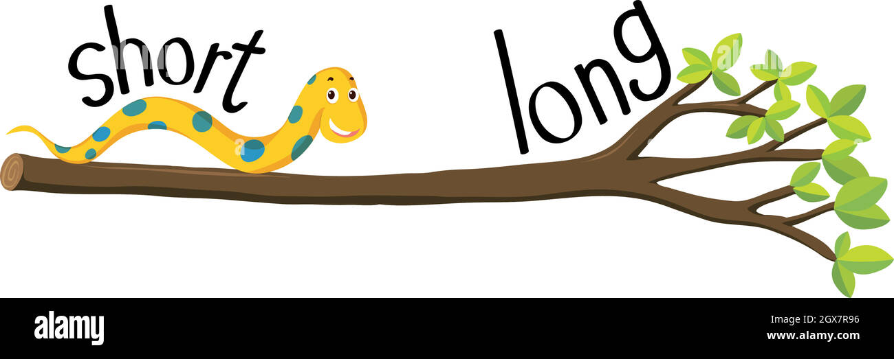 Opposite adjectives with short and long Stock Vector Image & Art - Alamy