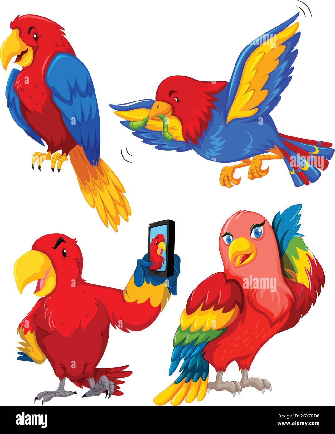 Set of parrot character Stock Vector Image & Art - Alamy