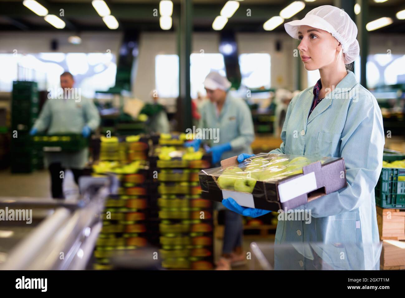 Young woman working on sorting line at fruit warehouse, stacking boxes ...