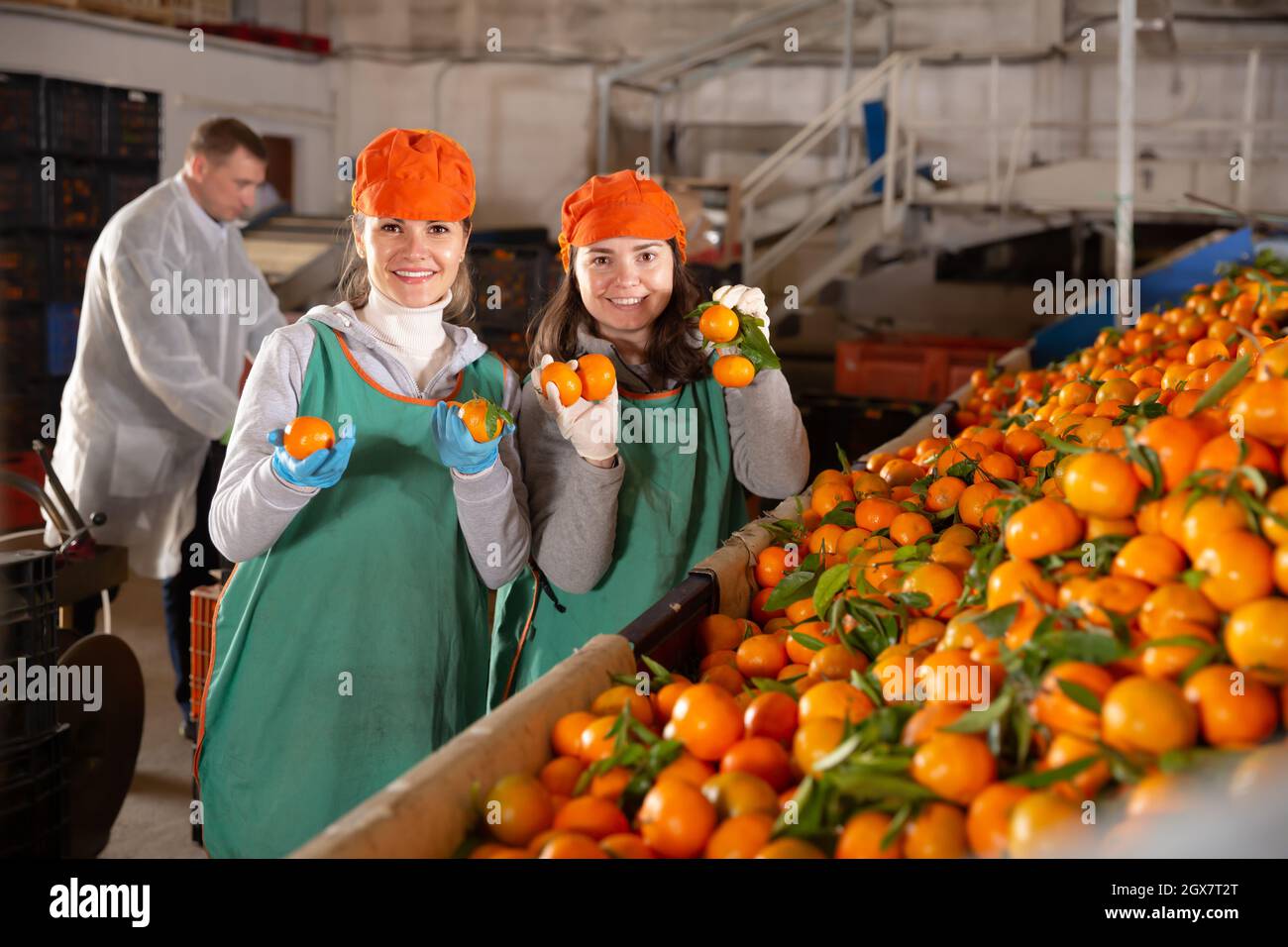 Glad employees working on the sorting line Stock Photo - Alamy