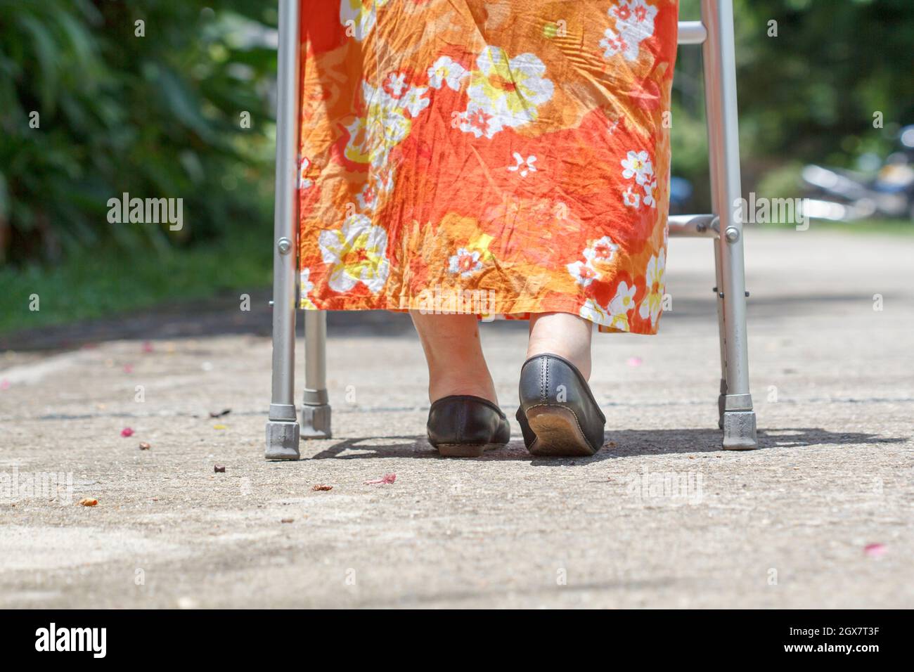 senior woman using a walker cross street Stock Photo - Alamy