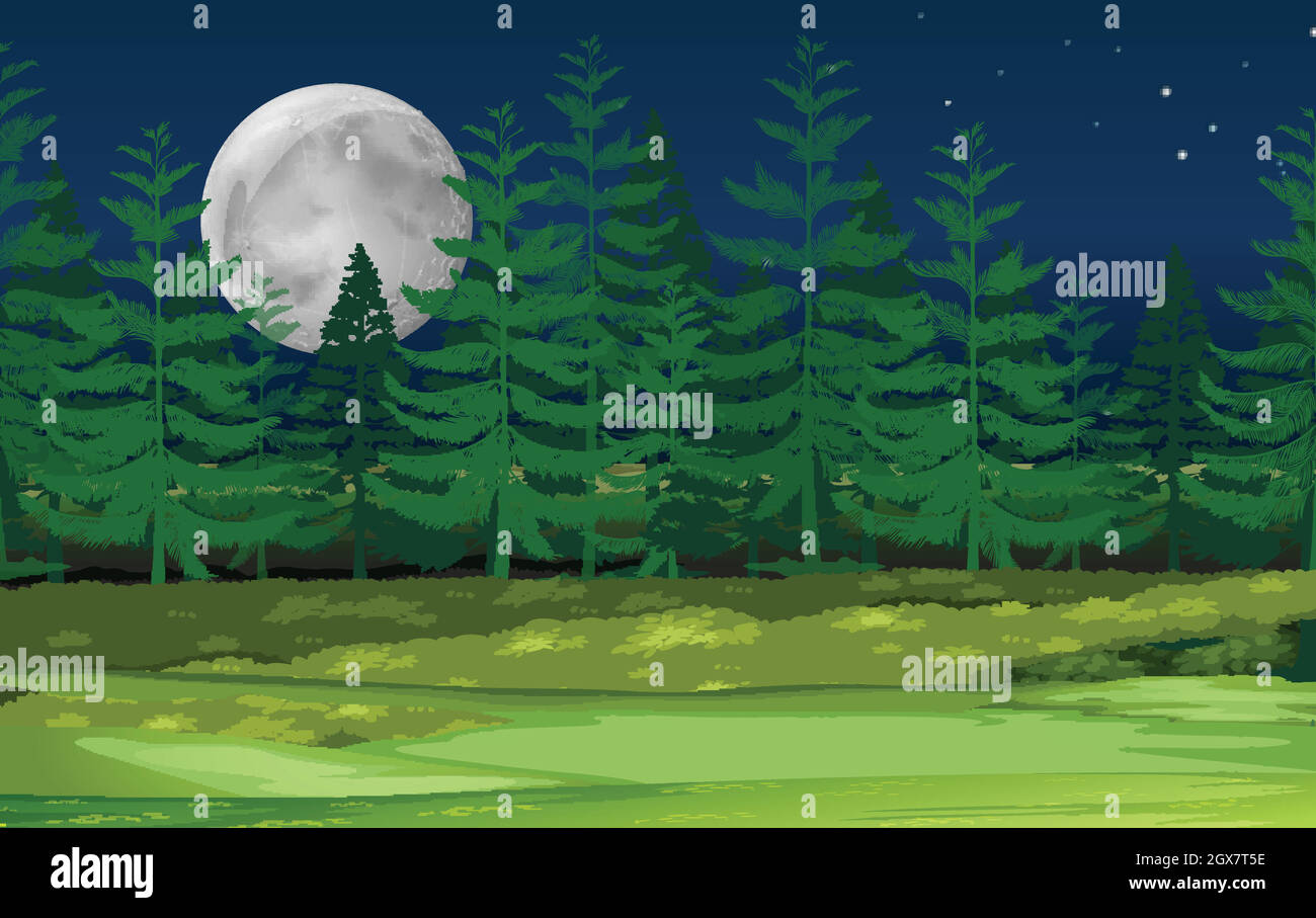 A night forest landscape Stock Vector Image & Art - Alamy