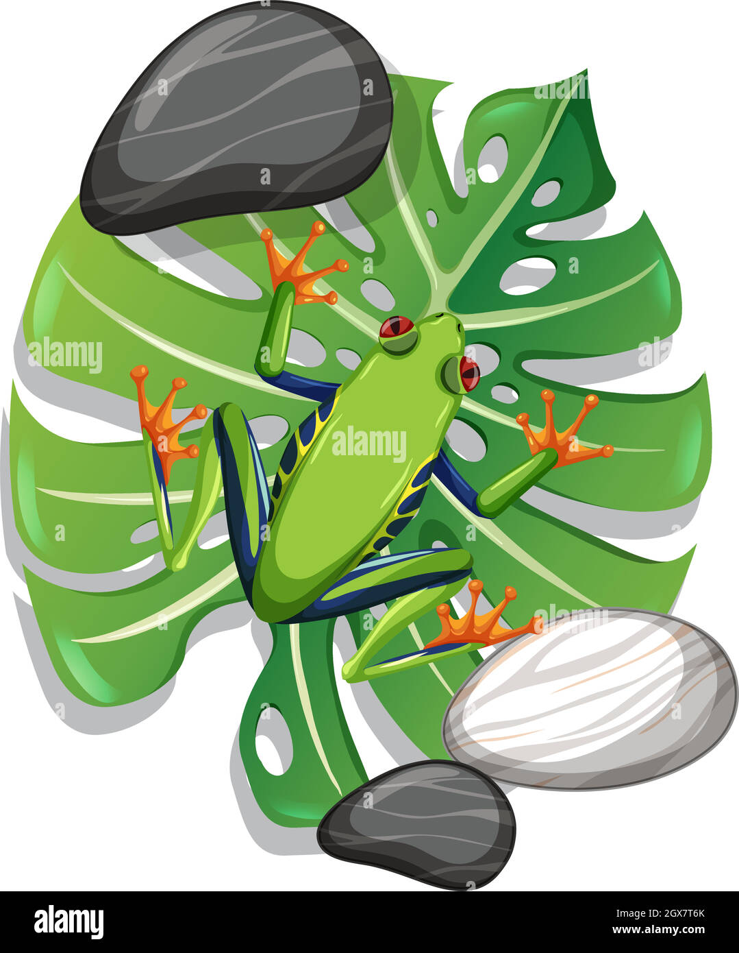 Frog top view Stock Vector Images - Alamy