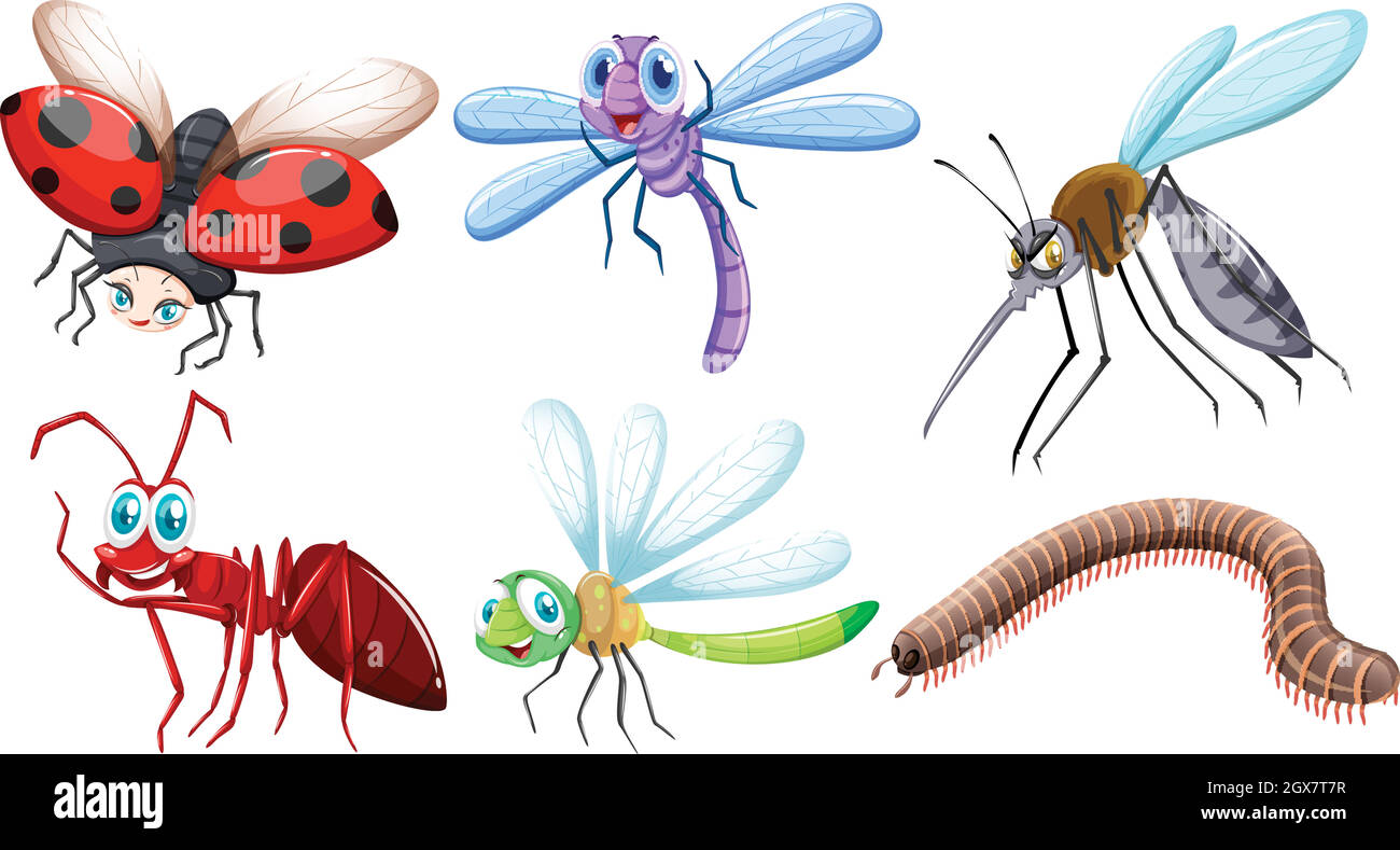 Group different insects hi-res stock photography and images - Alamy