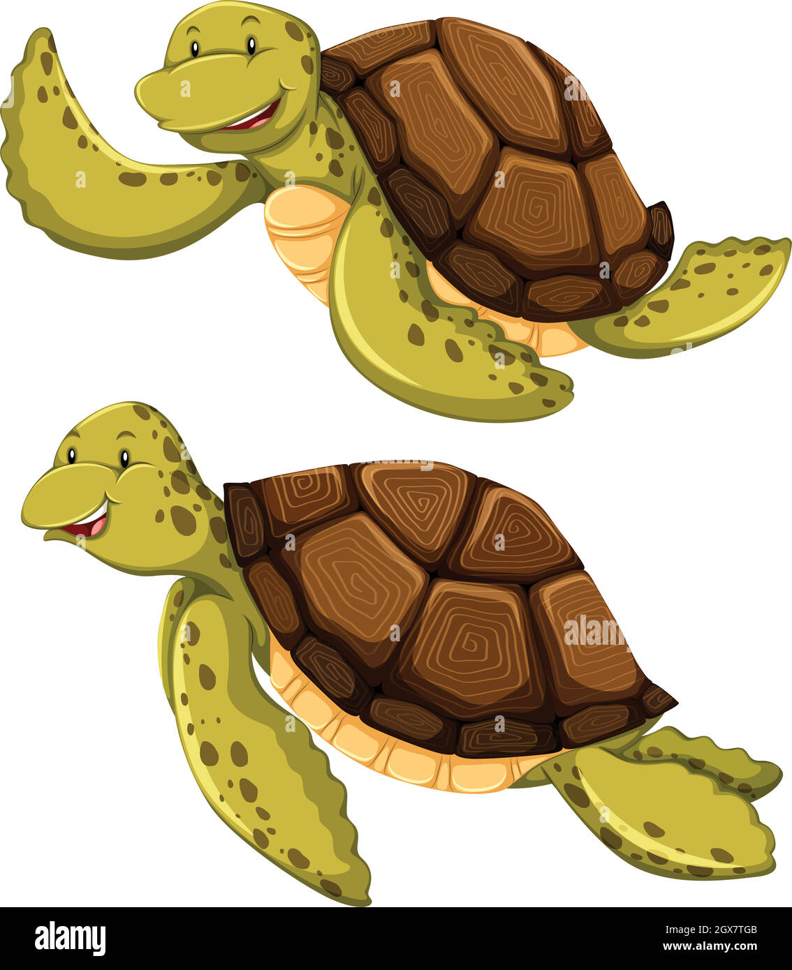 Shell characters Stock Vector Images - Alamy