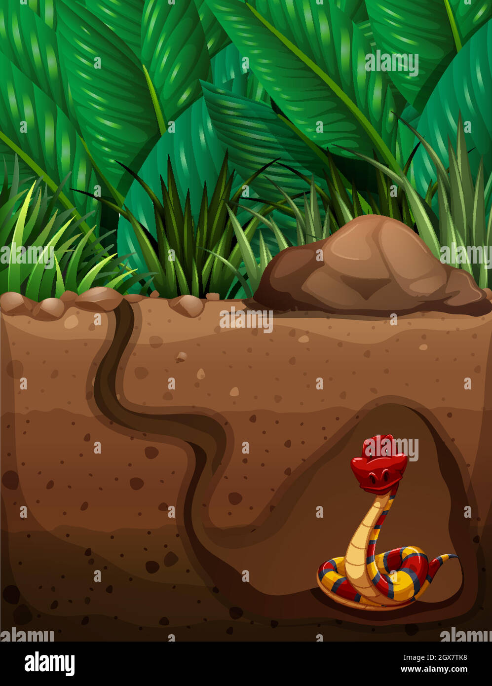 Snake bush plant hi-res stock photography and images - Alamy