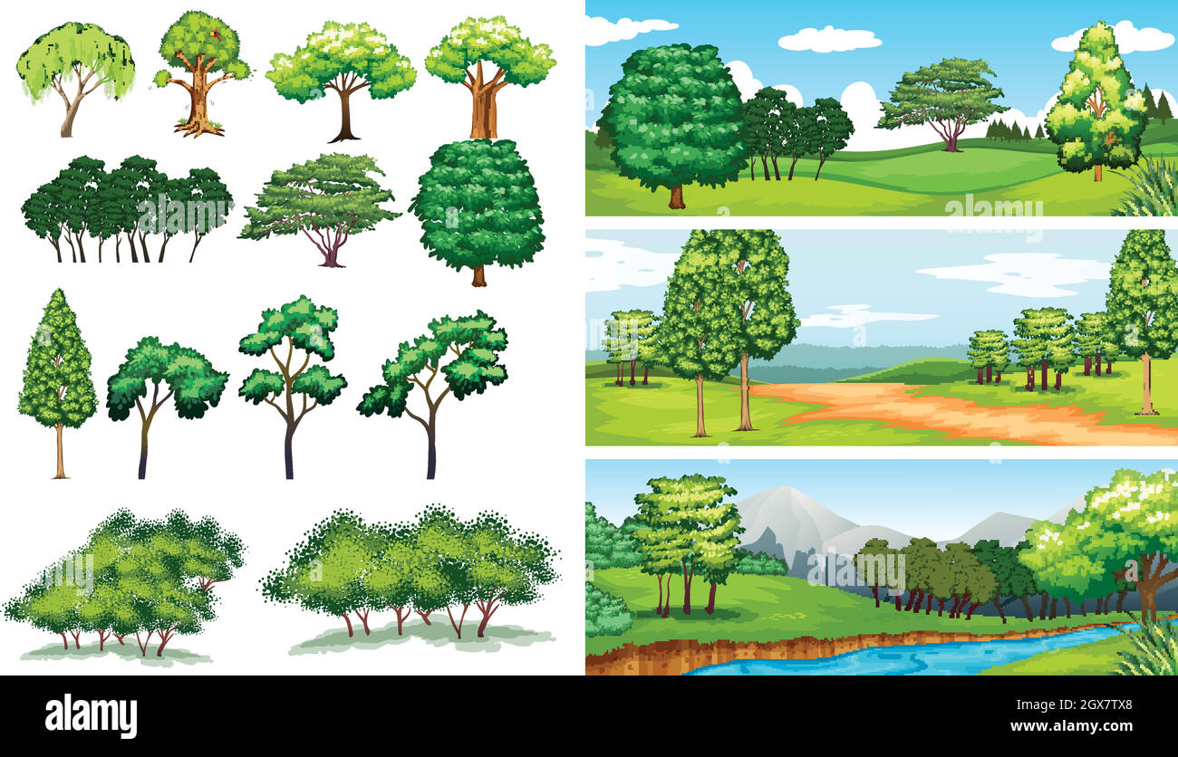 Nature scenes with trees and fields Stock Vector Image & Art - Alamy