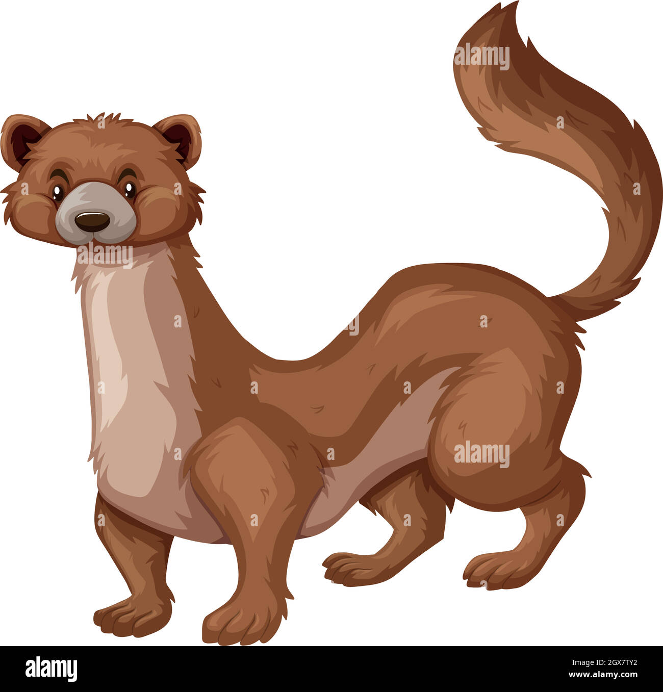 Mongoose clipart Stock Vector Images - Alamy