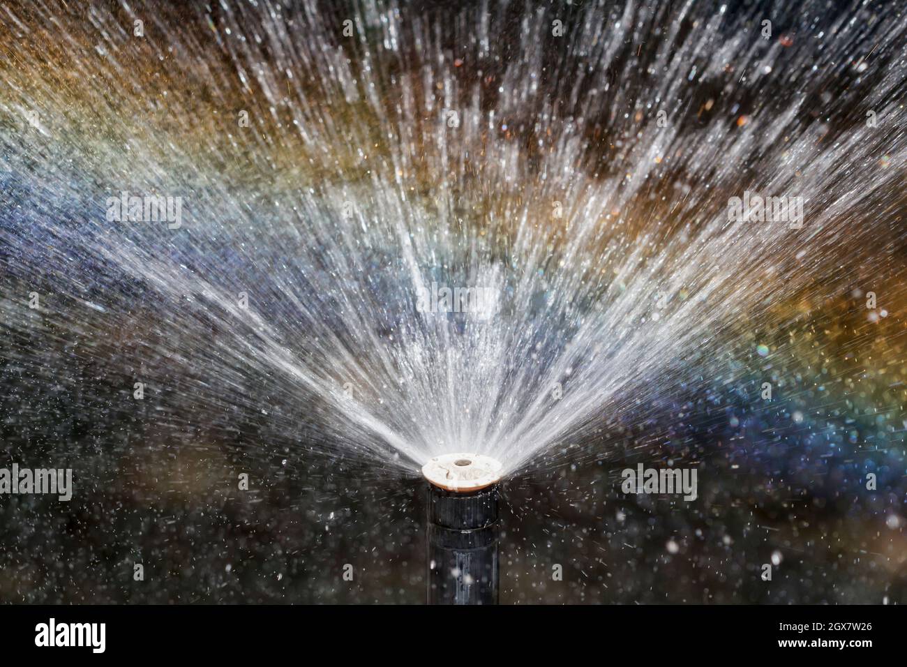 sprinkler head watering in garden Stock Photo - Alamy