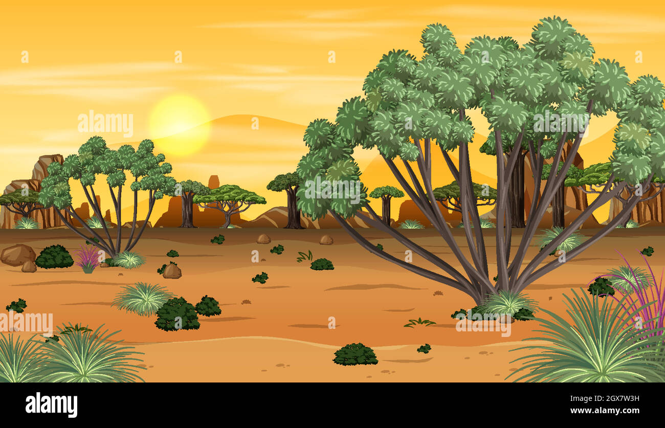 African forest landscape at sunset time Stock Vector Image & Art - Alamy