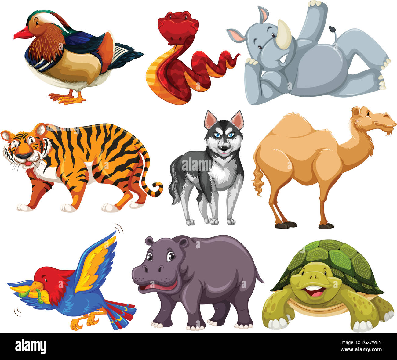 Set of different animal character Stock Vector Image & Art - Alamy