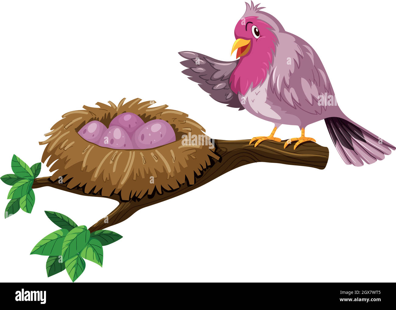 Bird and bird nest with eggs Stock Vector Image & Art - Alamy