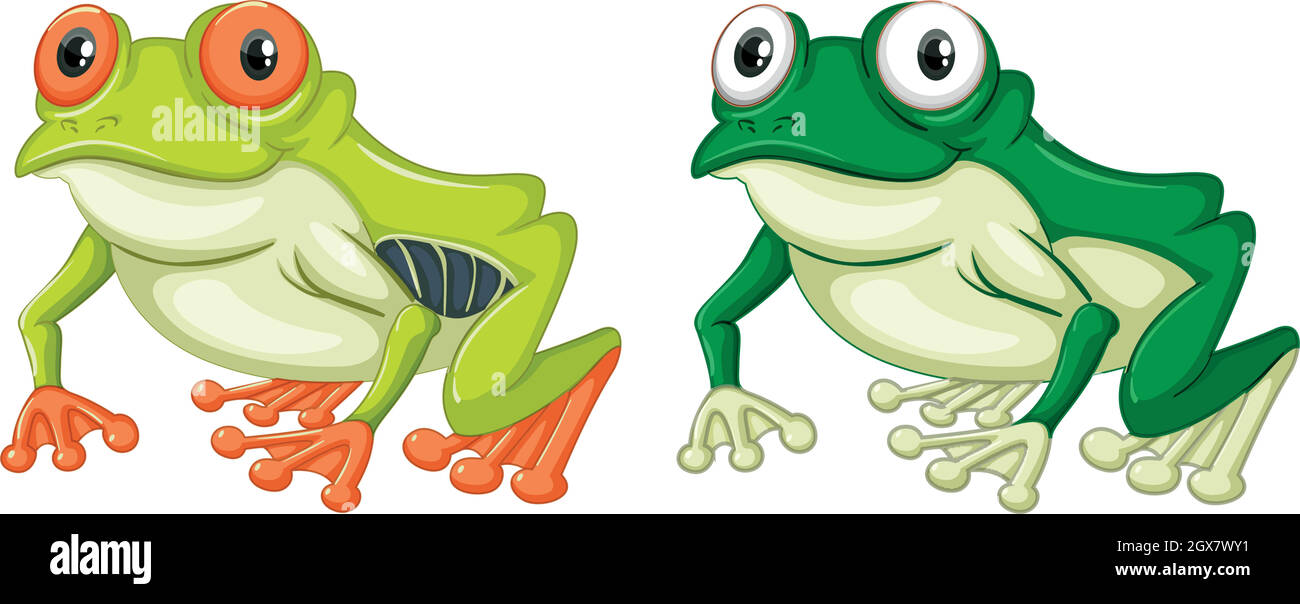 Illustration two frogs Stock Vector Images - Alamy