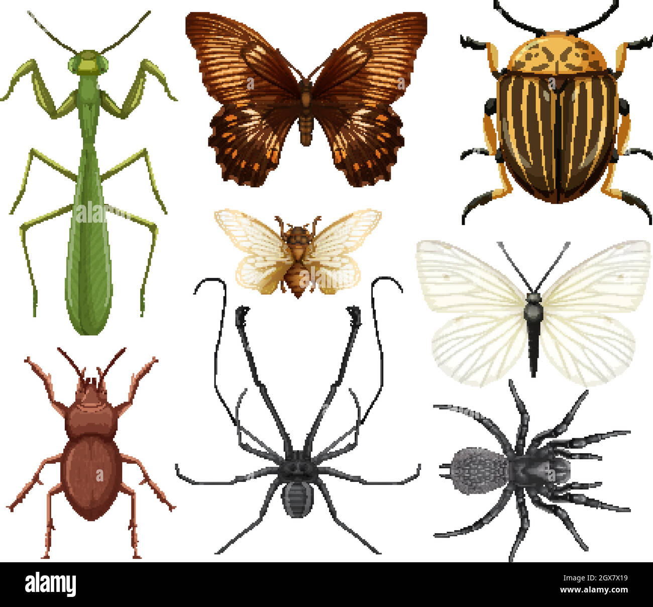 Different insects collection isolated on white background Stock Vector ...