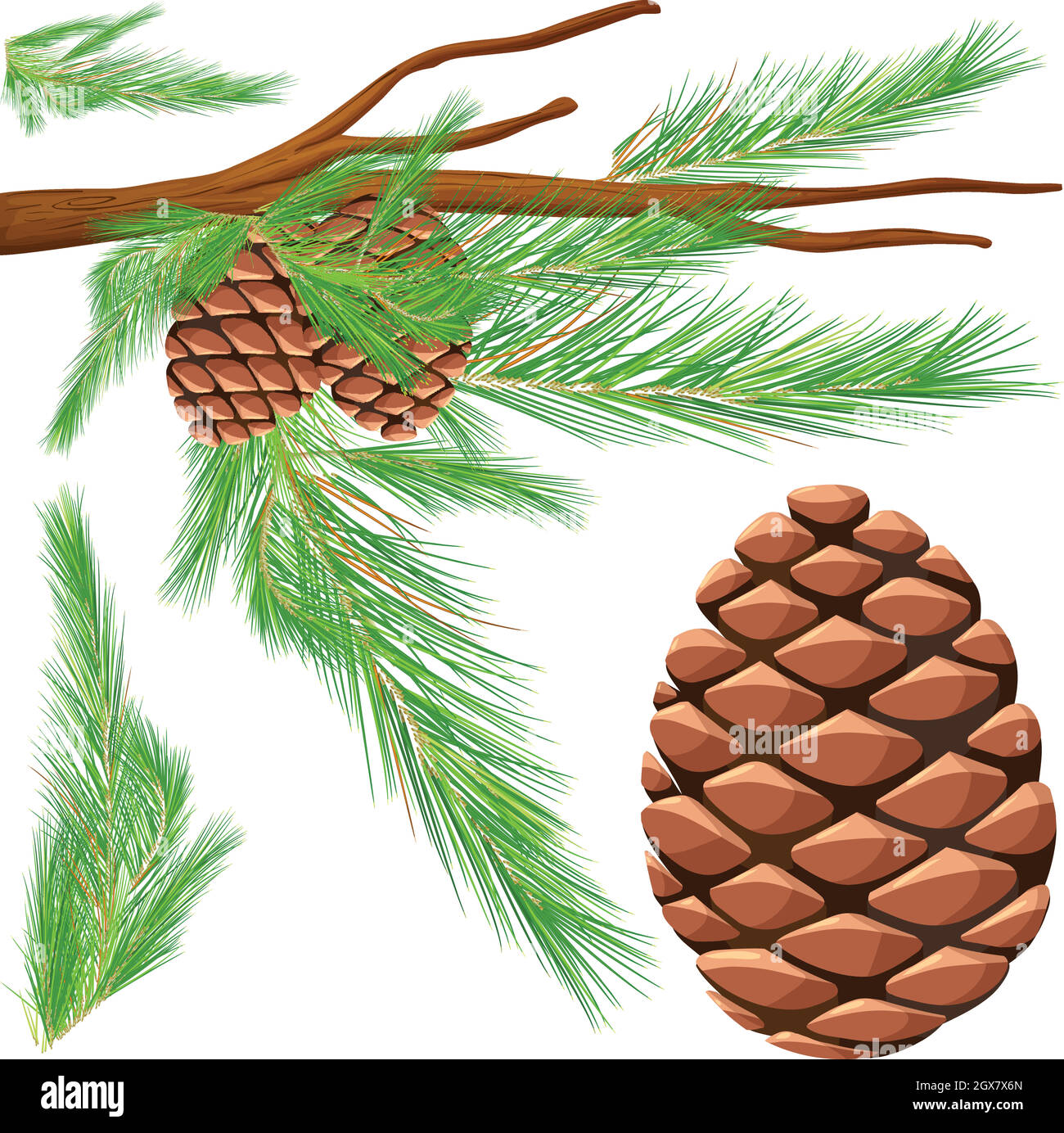 Leaves on winter branch Stock Vector Images - Alamy