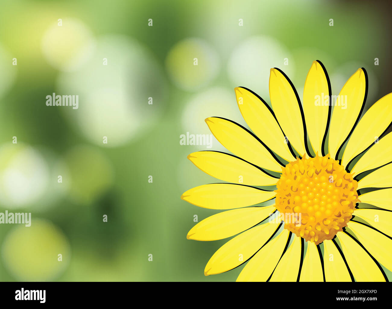 Structure of flower Stock Vector Images - Alamy