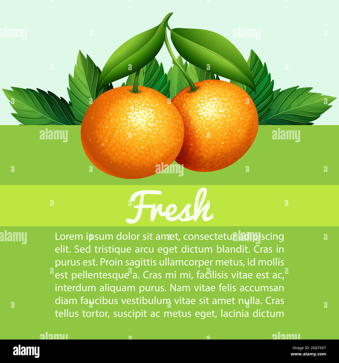 Infographic with fresh oranges Stock Vector Image & Art - Alamy