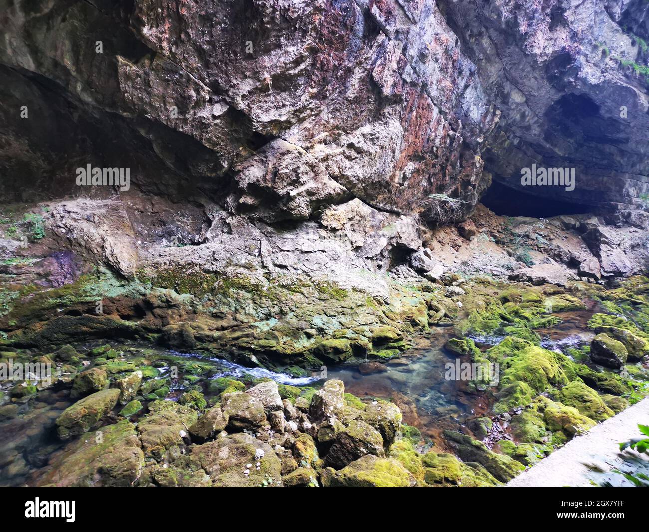 Narrow entrance of a cave with water flowing on mossy rocks in front of ...